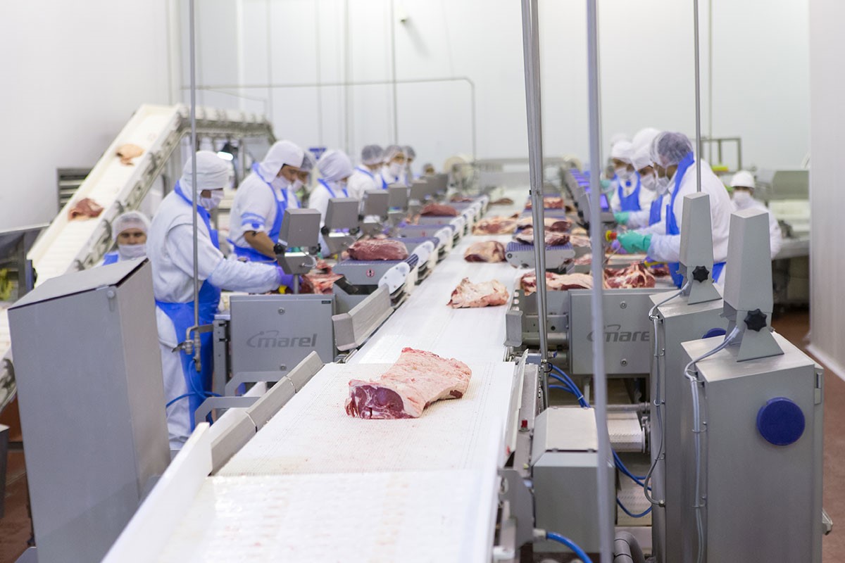 Expo Carnes y Lácteos 2023 | Marel