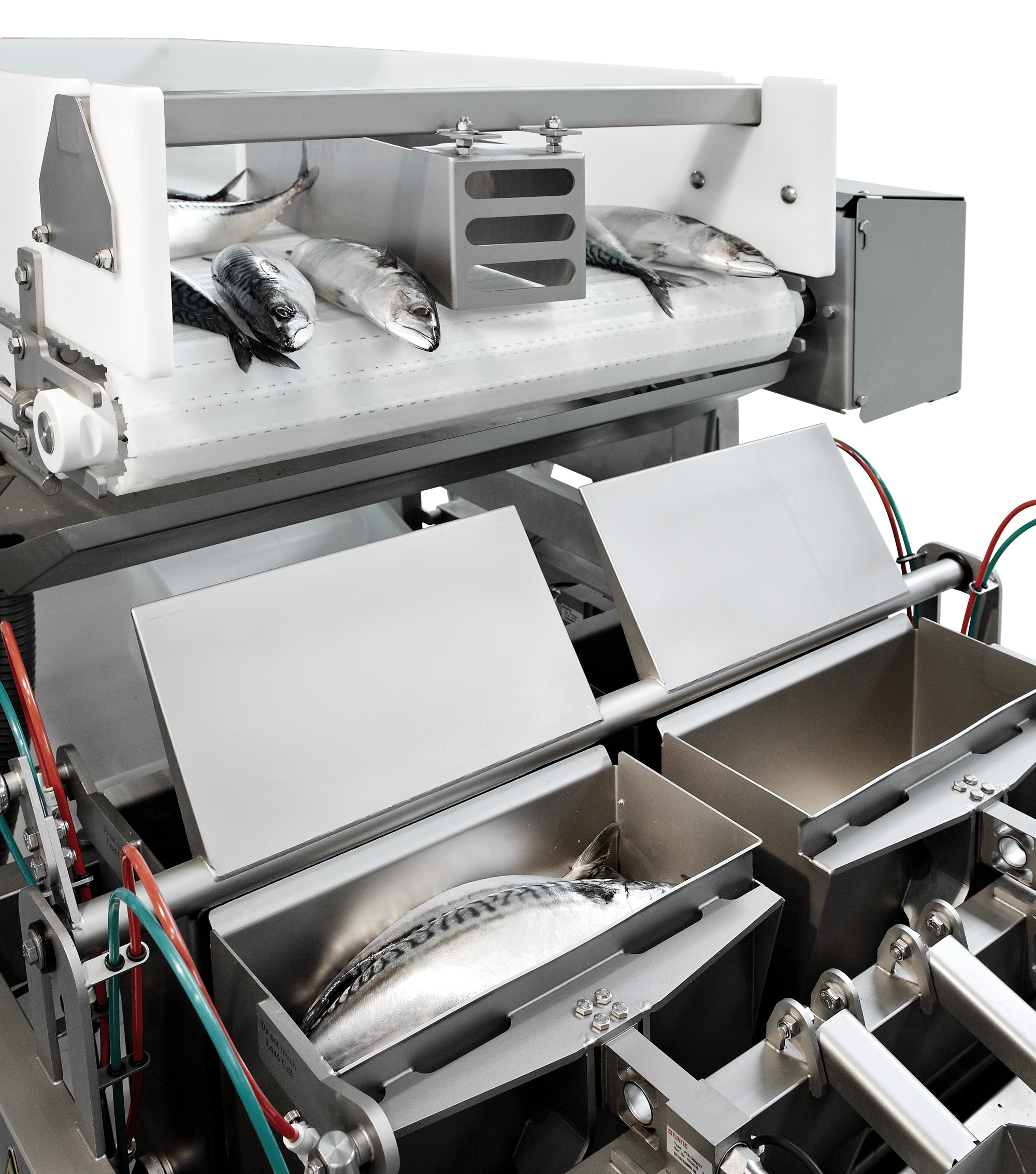 Marel | Food processing solutions