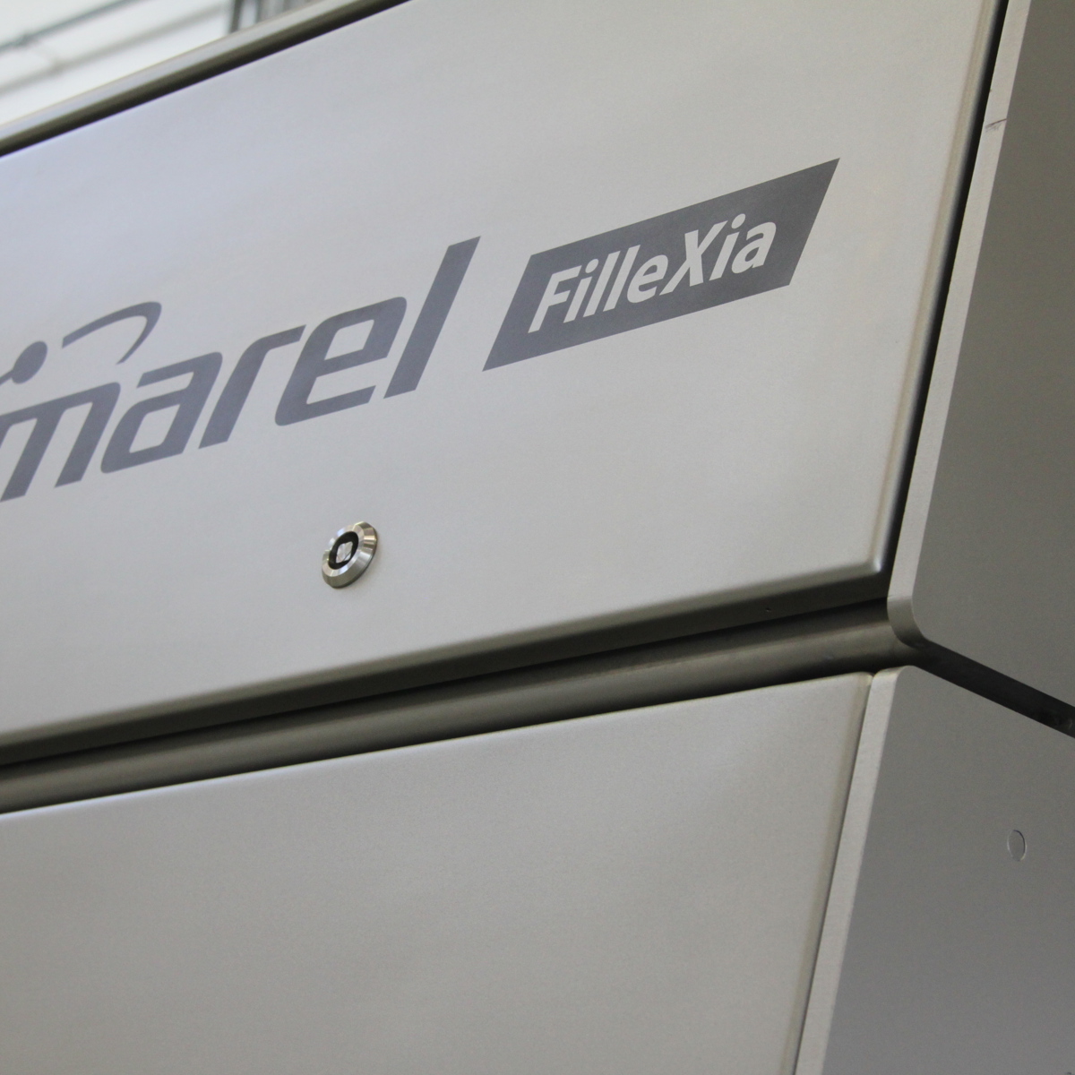 Transforming tilapia processing | Marel