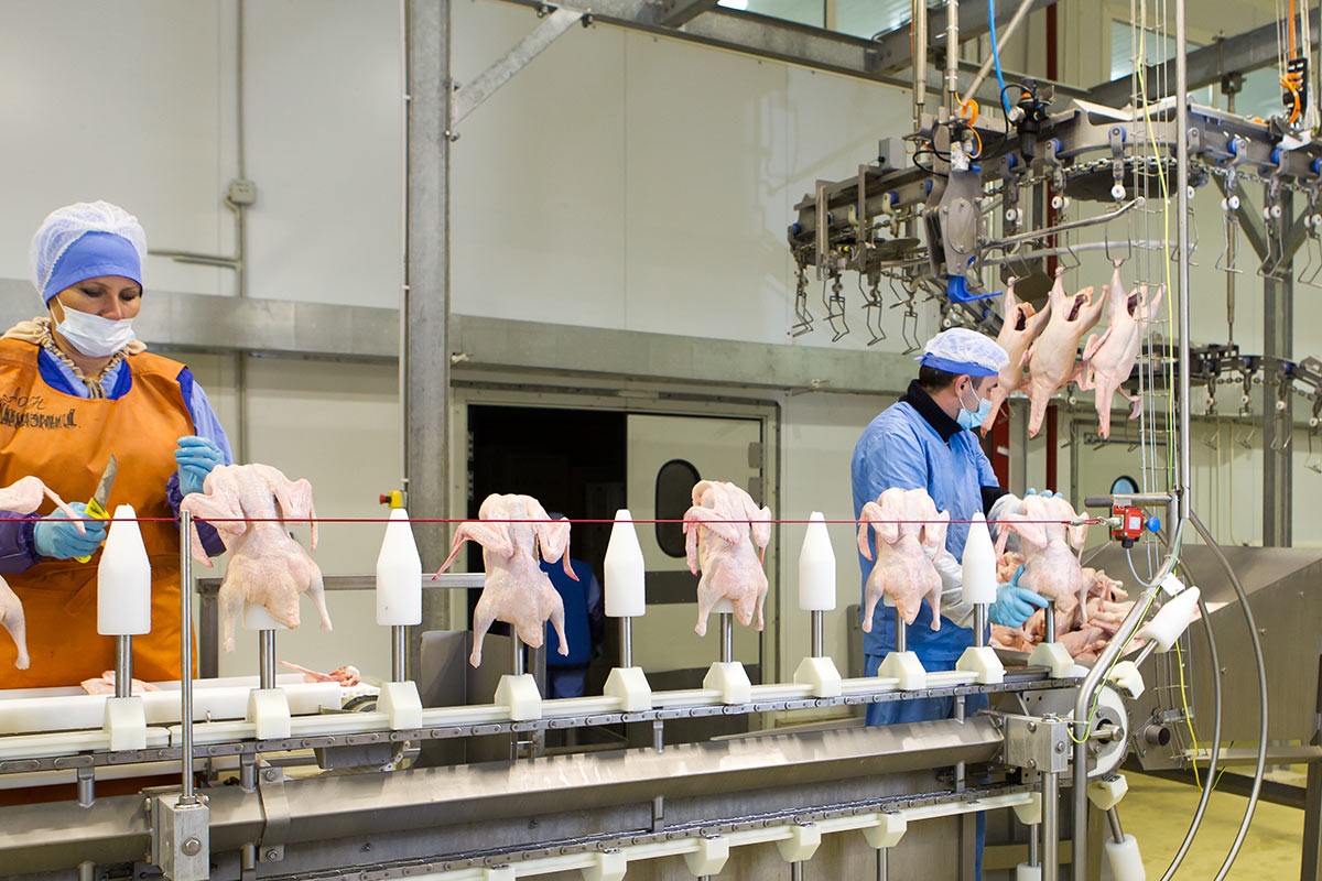 Semi-automated duck deboning | Marel