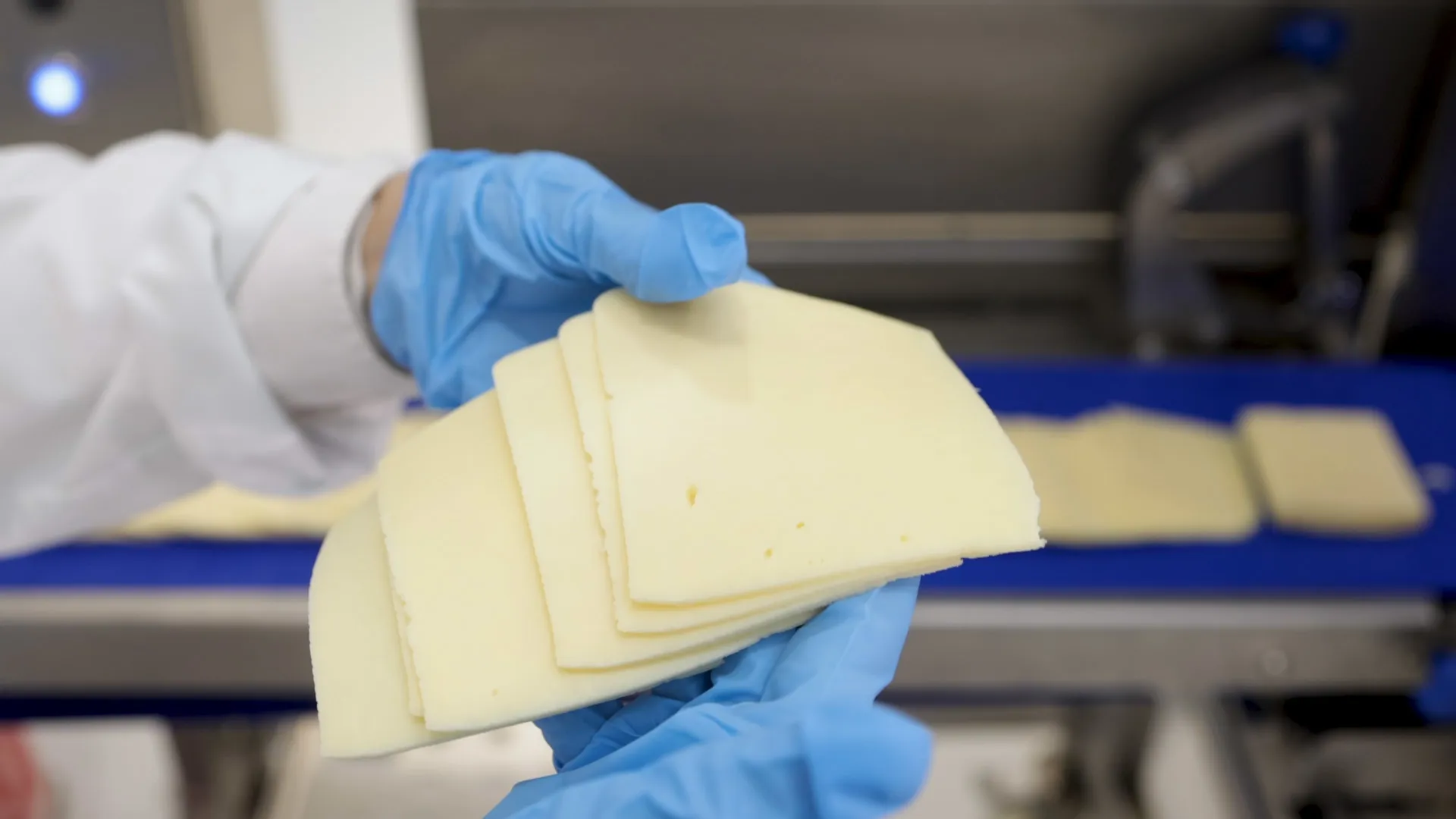 TREIF HAWK Portionsschneider | Marel