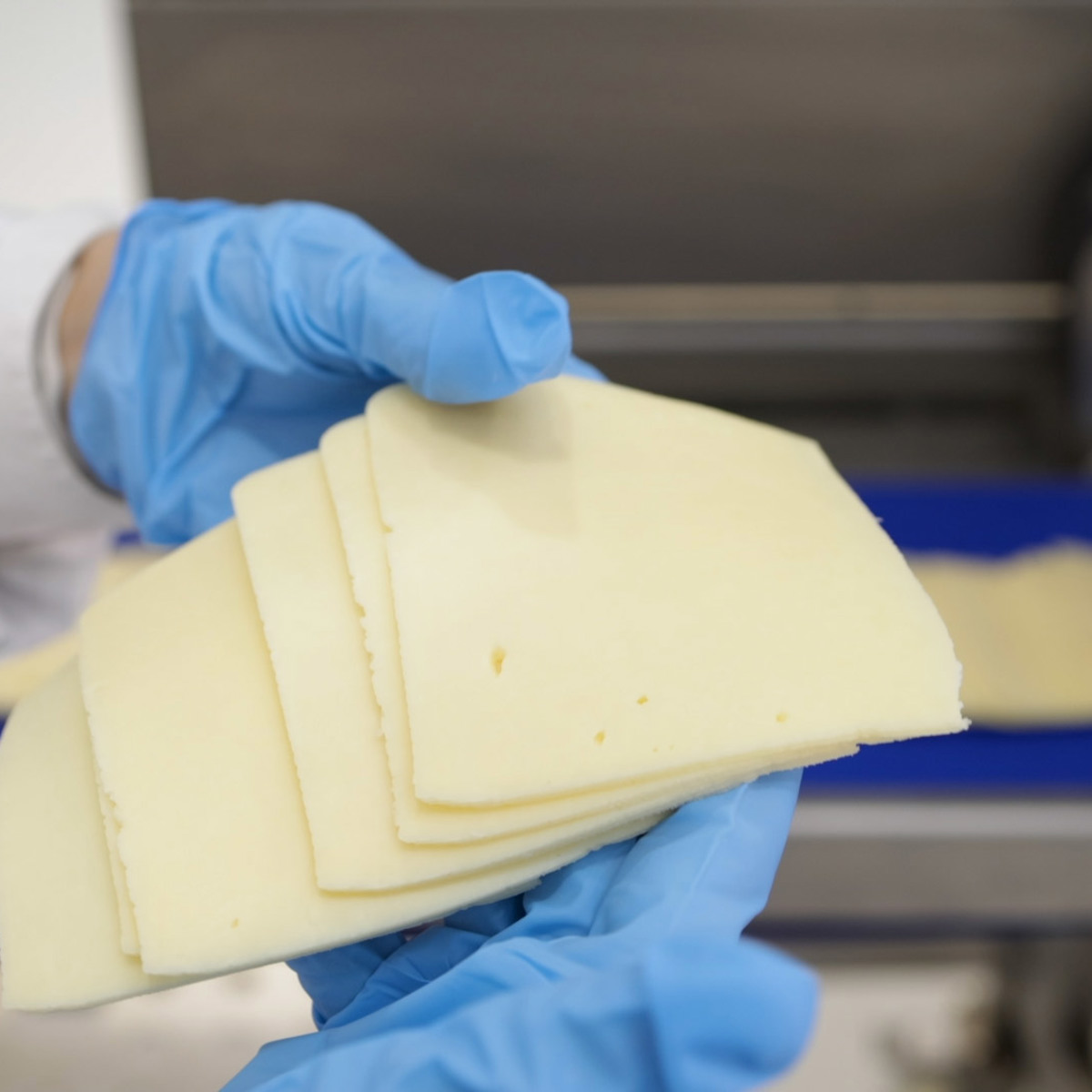 Обработка сырных продуктов | Marel