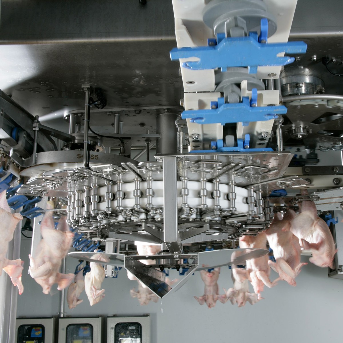 Transferencia | Marel