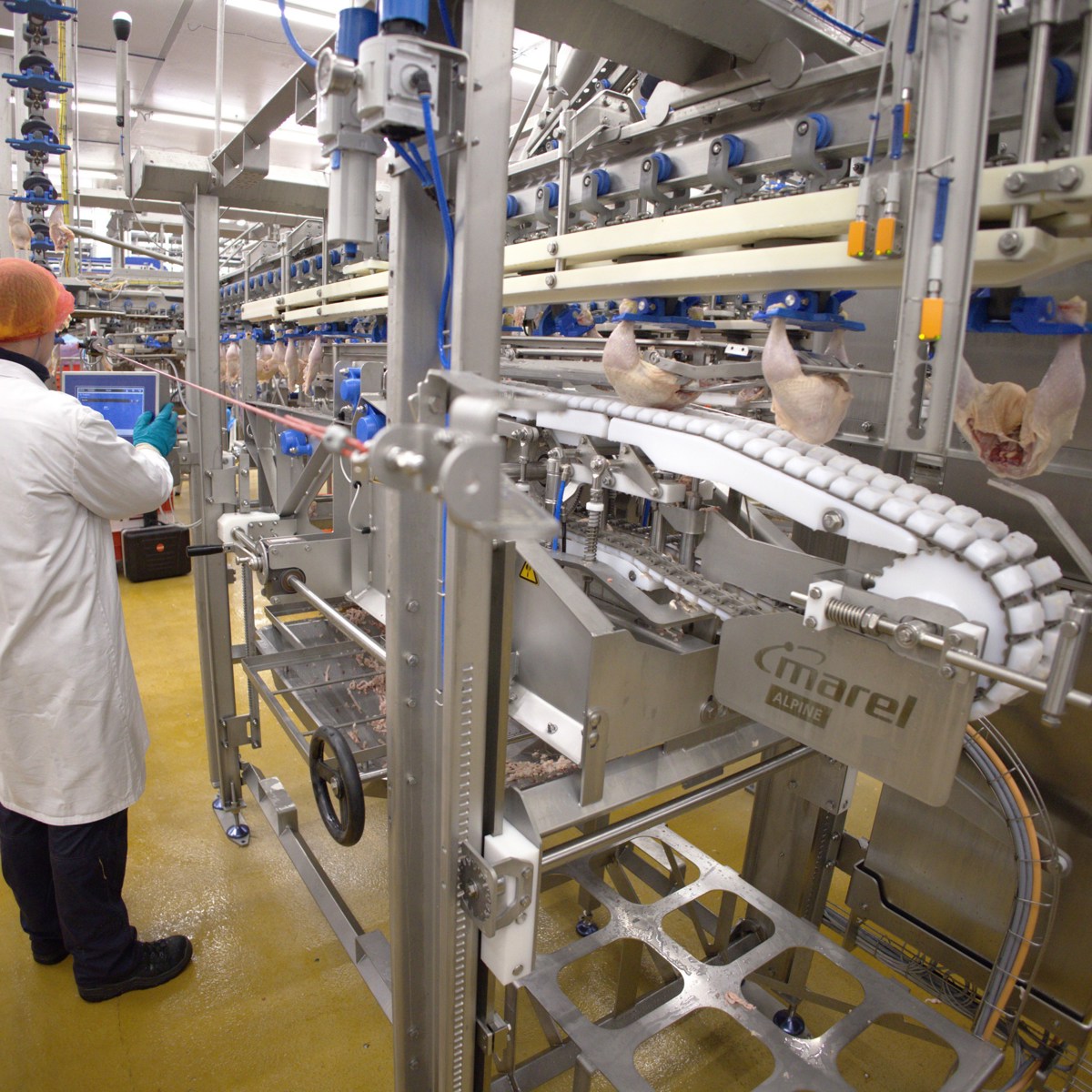 ALPINE - Reach the top of anatomic leg processing | Marel