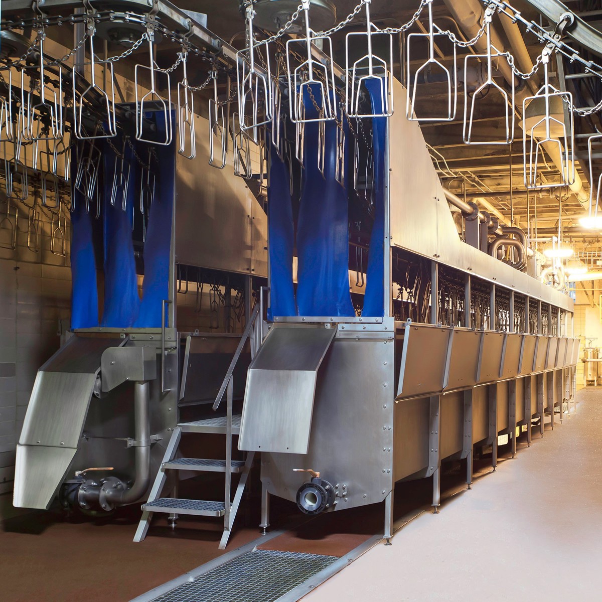 Killing and defeathering solutions for turkey | Marel