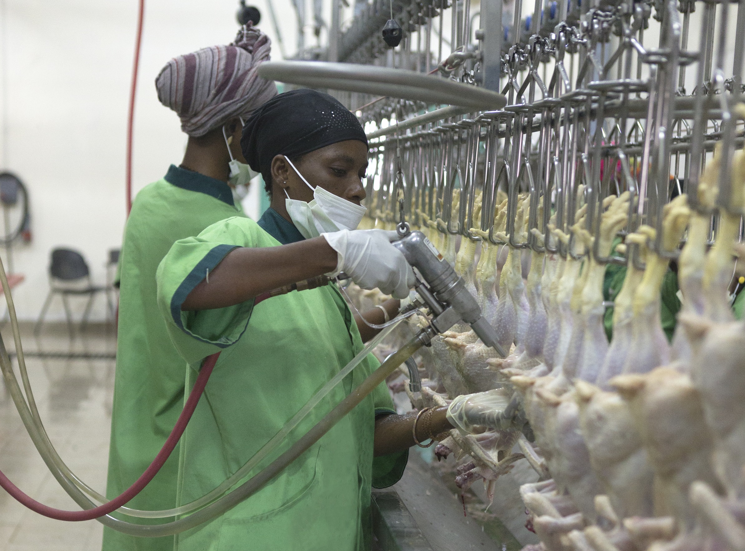 Manual evisceration | Marel