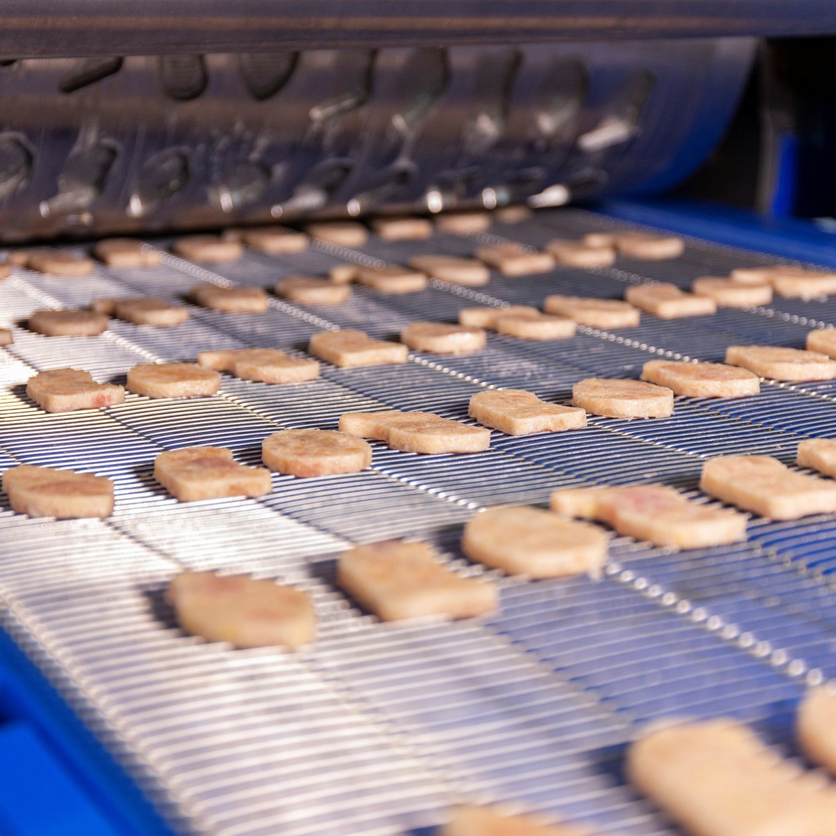 Forming systems for turkey processors | Marel