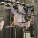 Marel | Food processing solutions