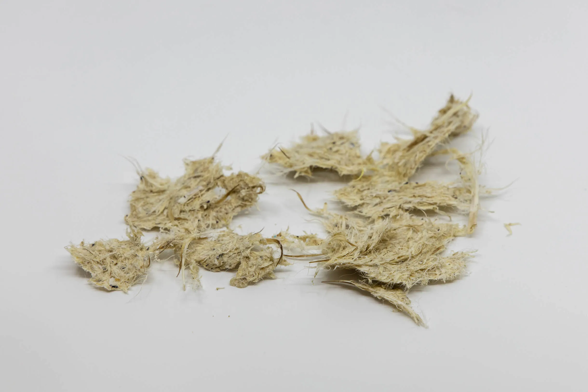 A sustainable wax recycling process | Marel