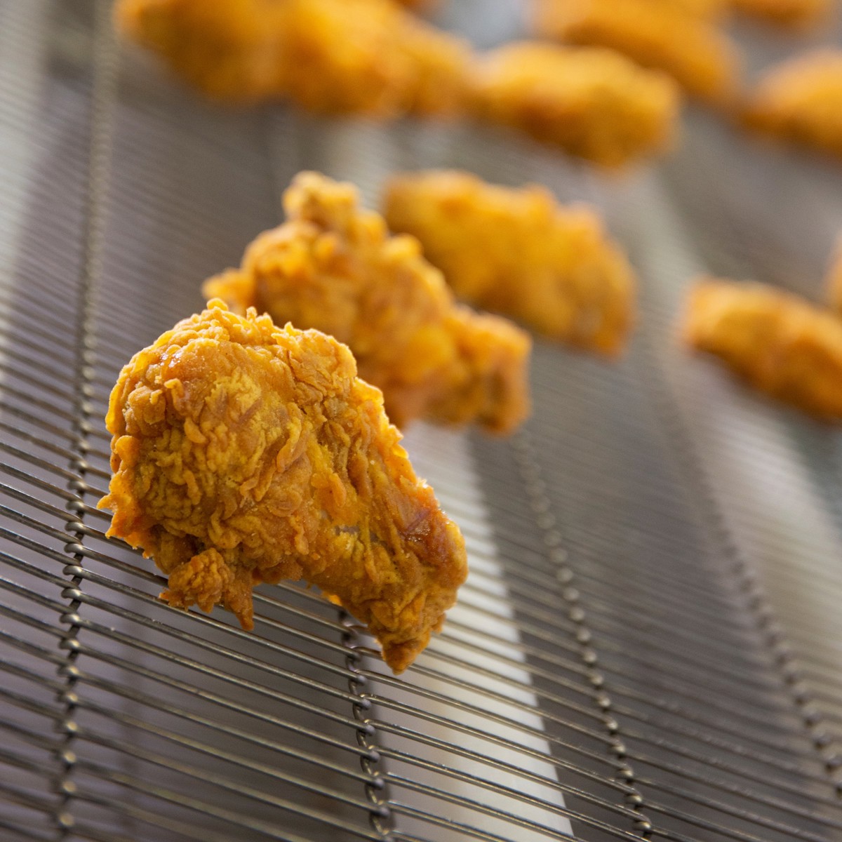 Introducing home-style chicken across Germany | Marel