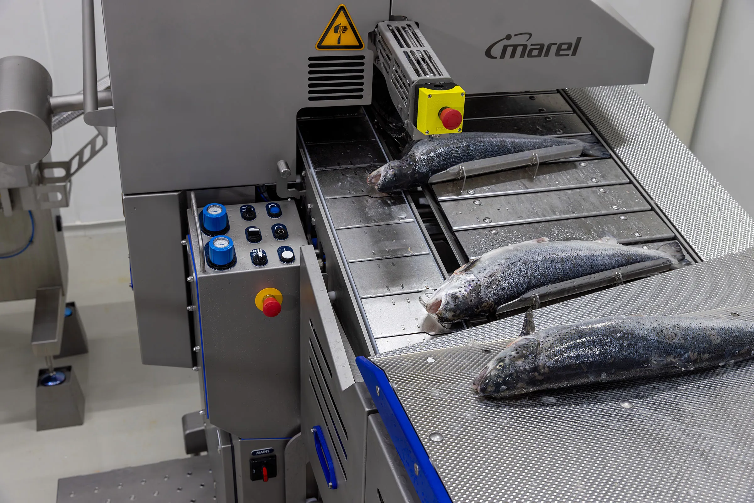 Salmon Deheader MS 3028 | Marel