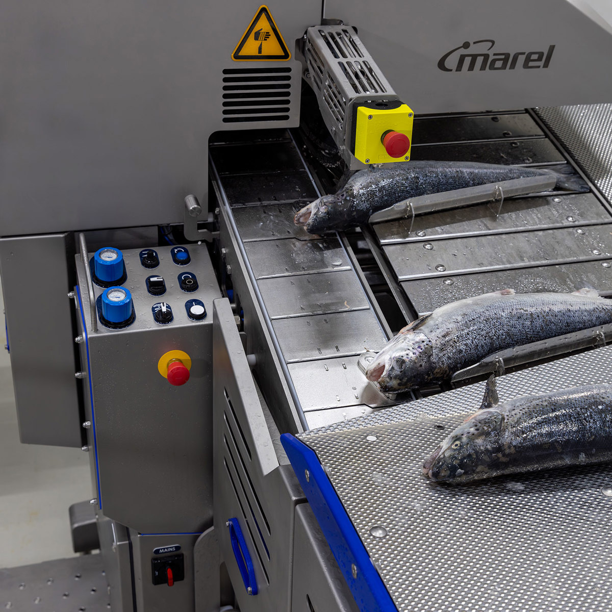 Salmon processor Hofseth invests in the new Deheader MS 3028 to improve the flow | Marel