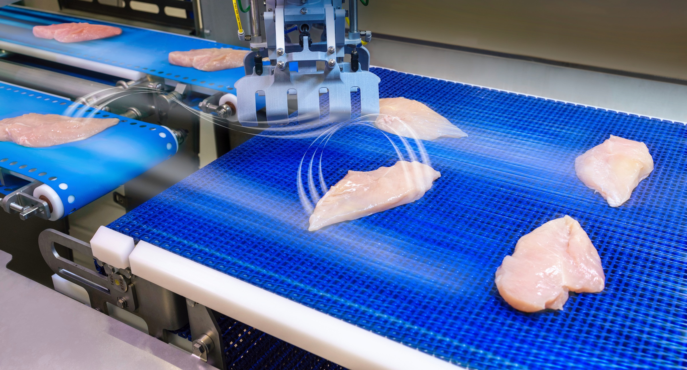 RoboOptimizer - Laborless product positioning before portioning | Marel