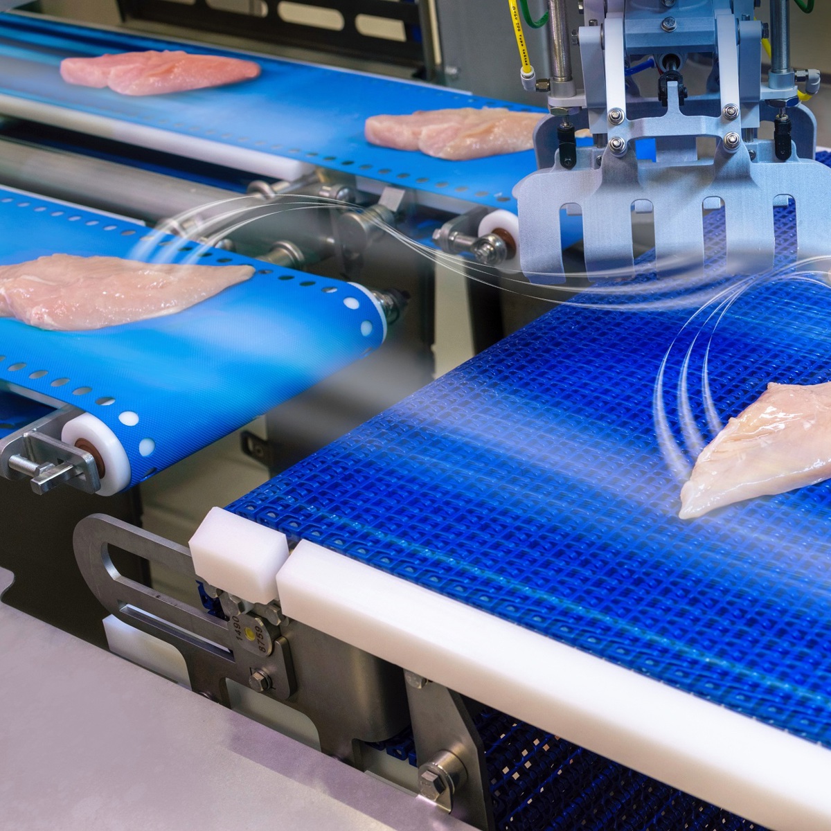 RoboOptimizer for laborless product positioning before portioning | Marel