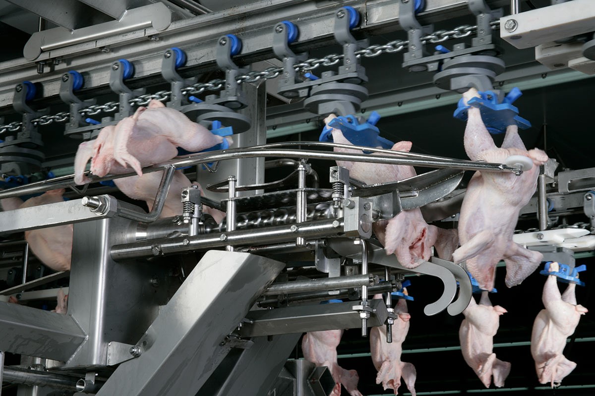 Wing cutting modules | Marel