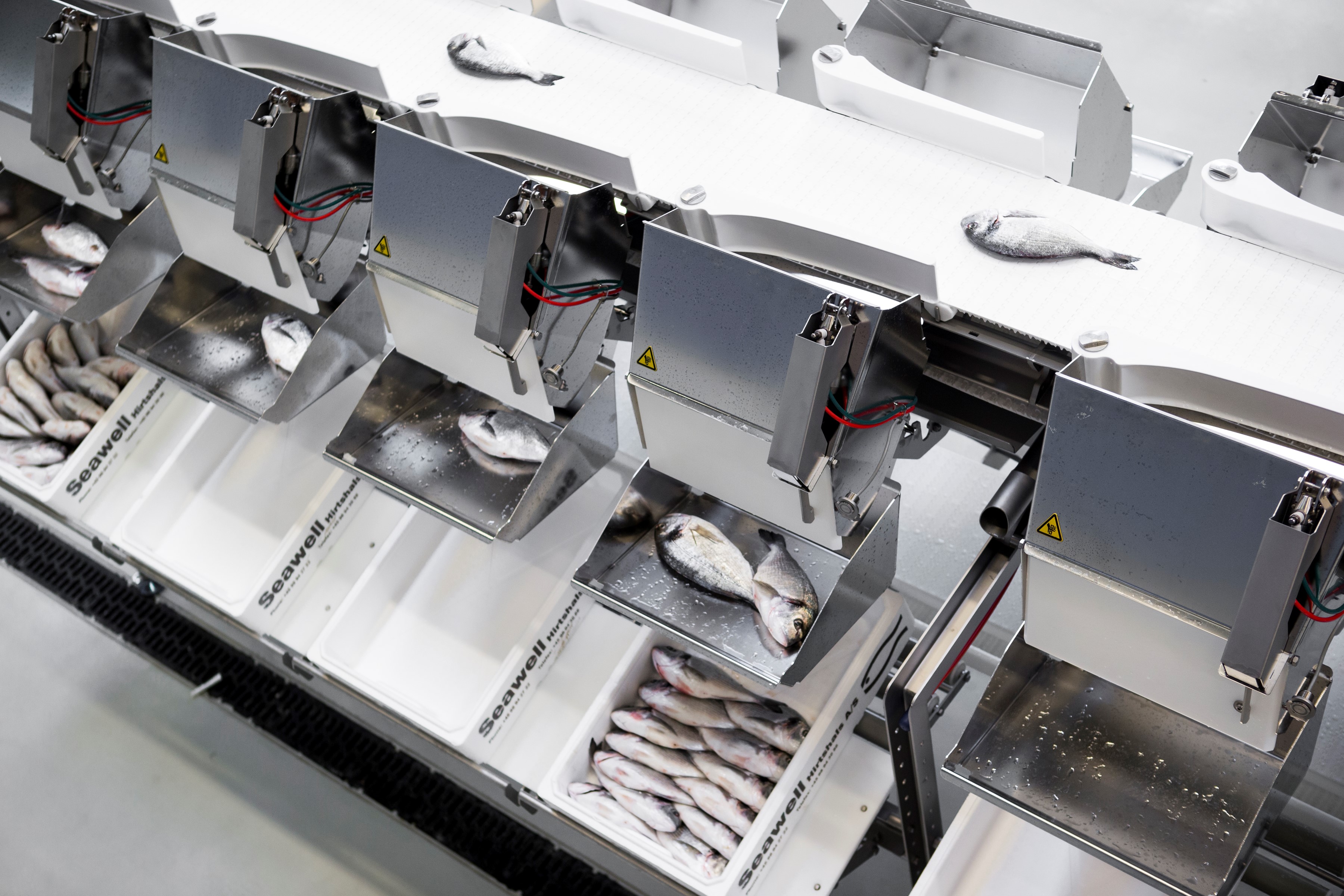 Marel opens in Namibia | Marel