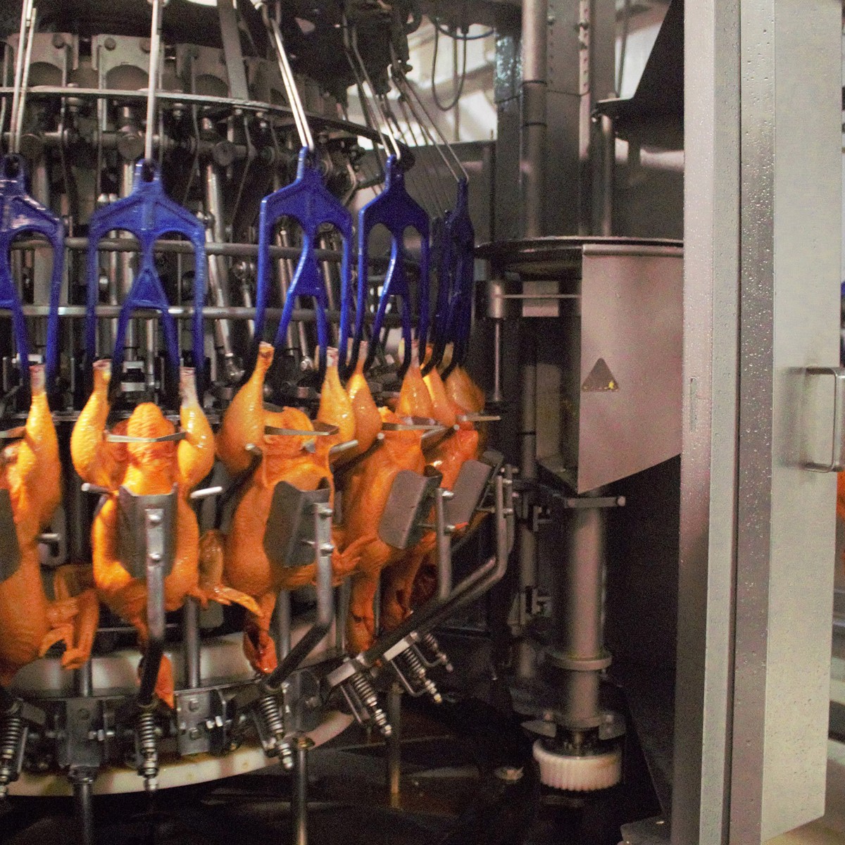 Avícola El Carmen opts for automated processing | Marel