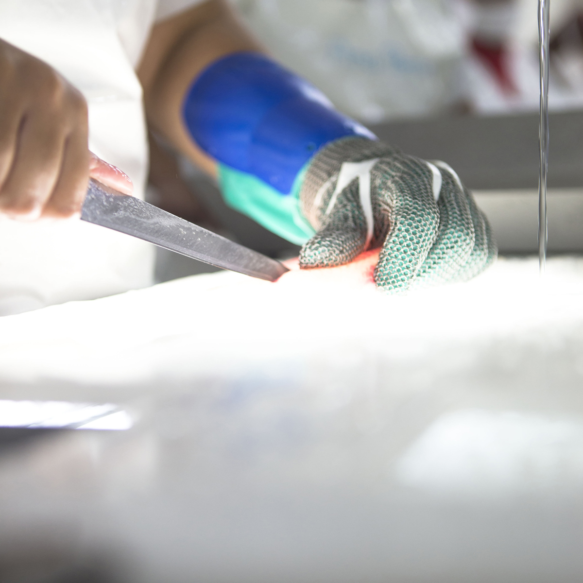 SensorX – taking on tilapia bone detection | Marel