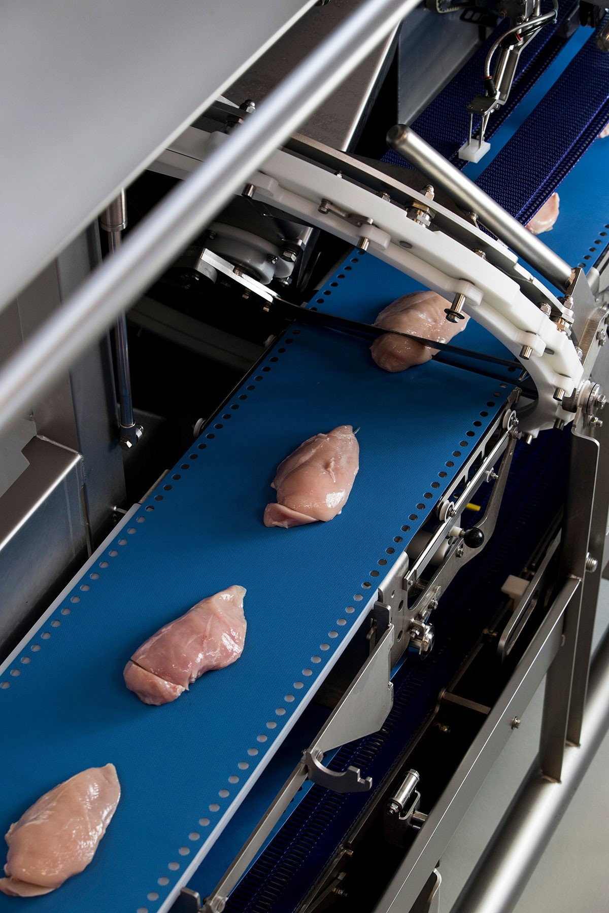 Portion cutting | Marel