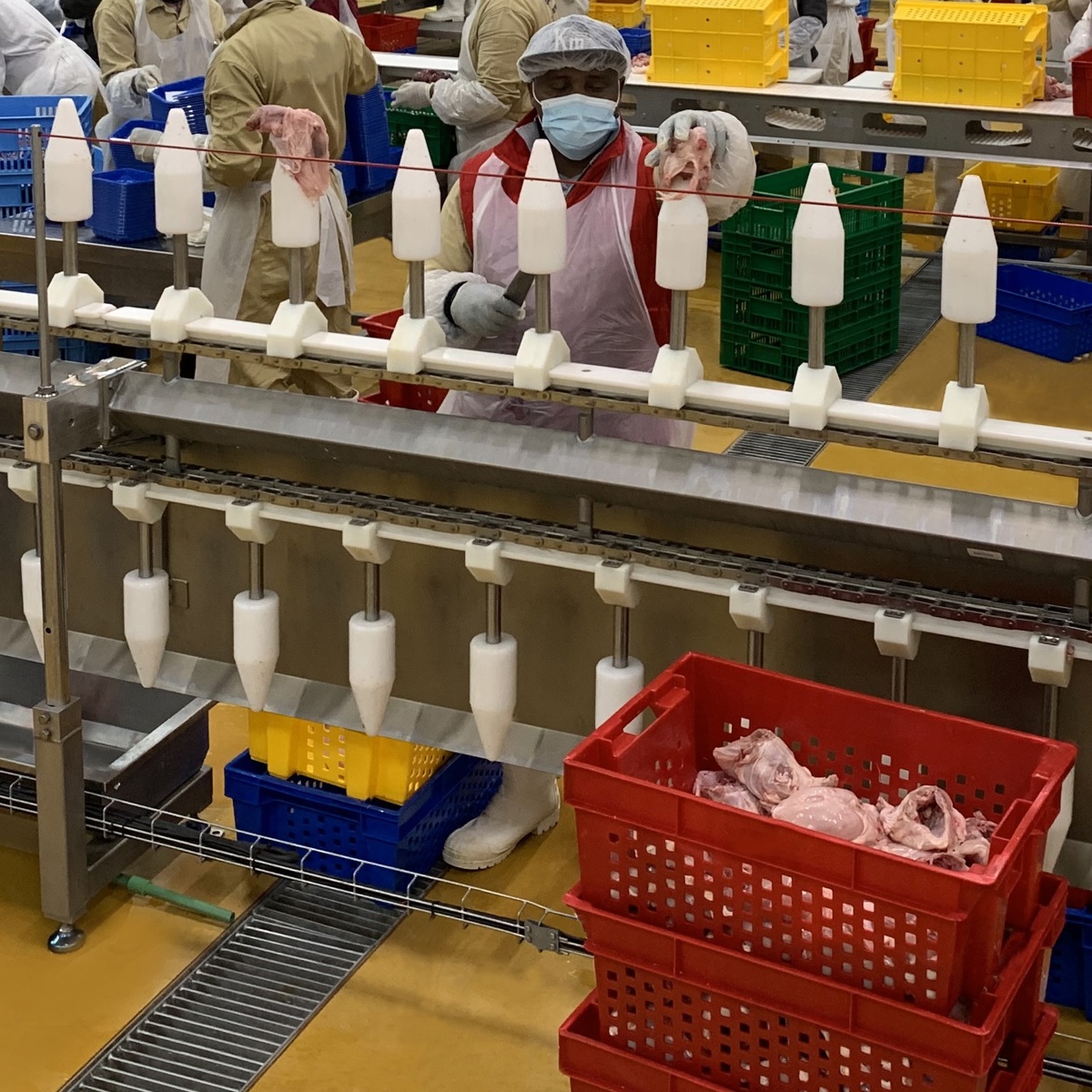 Semi-automated cut-up | Marel