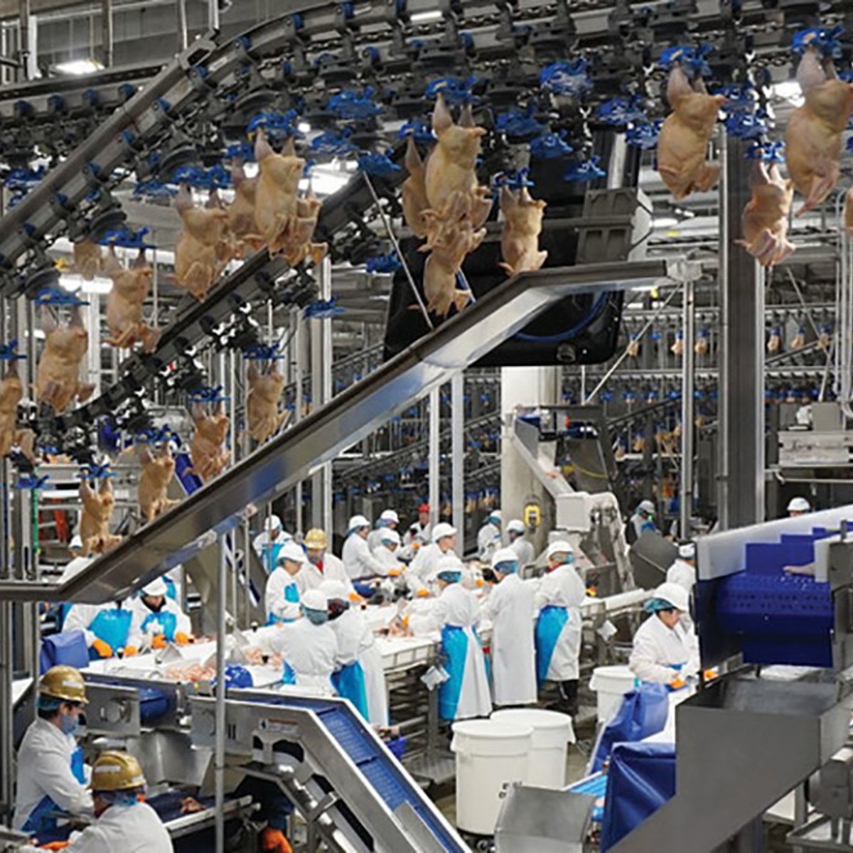 Inside Costco’s new, $450 million chicken operation | Marel