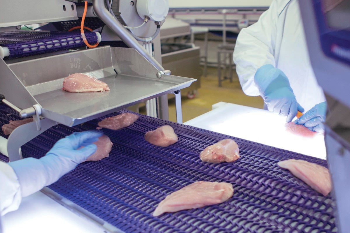 SensorX SmartSort | Marel Poultry | Marel