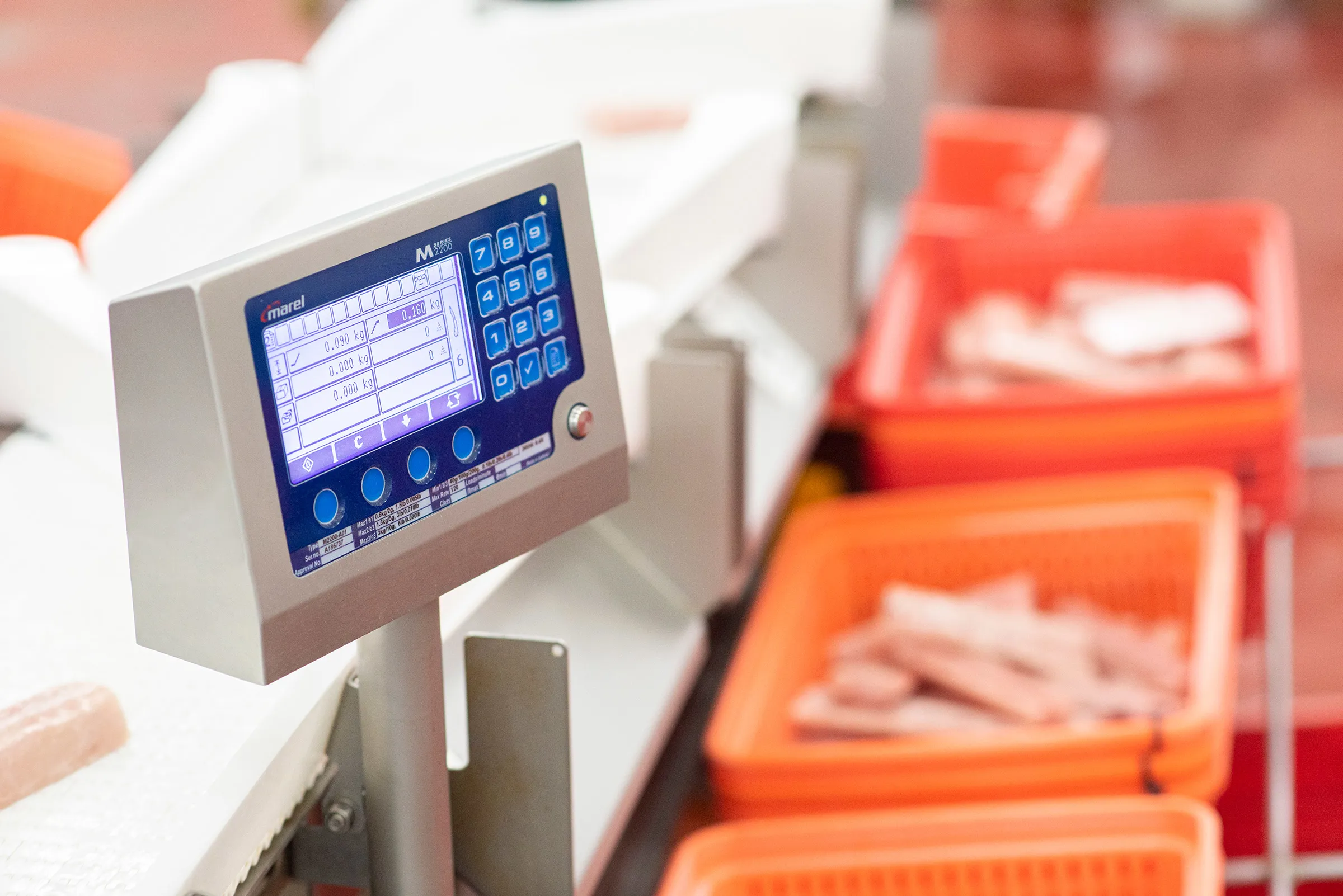 Solução de Software de Rendimento para Lulas Gigantes | Marel