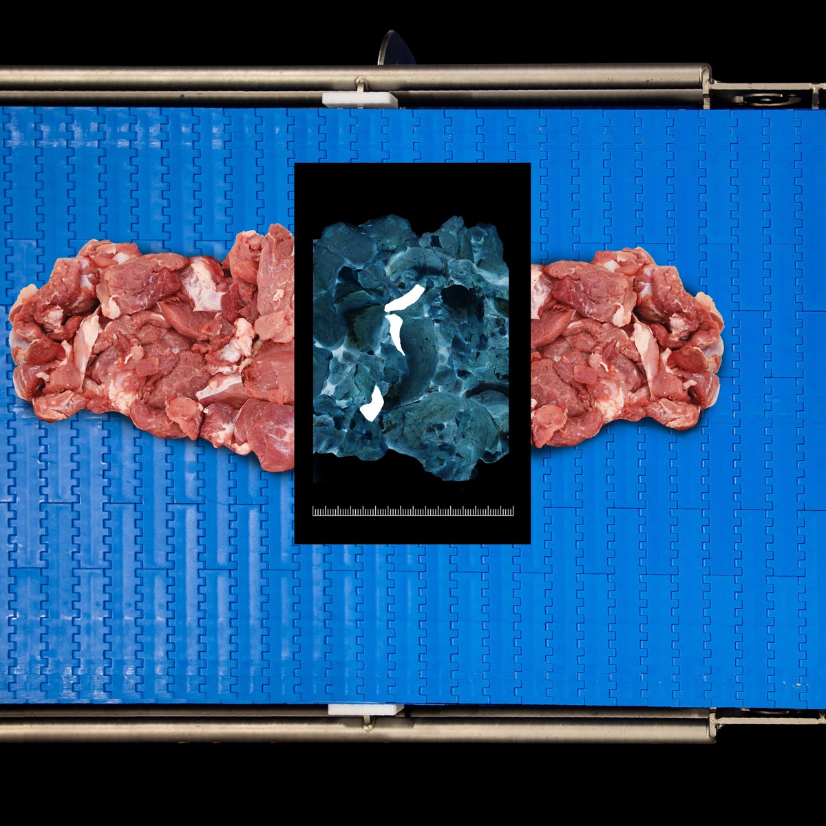 SensorX Magna: Revolutionizing meat inspection | Marel