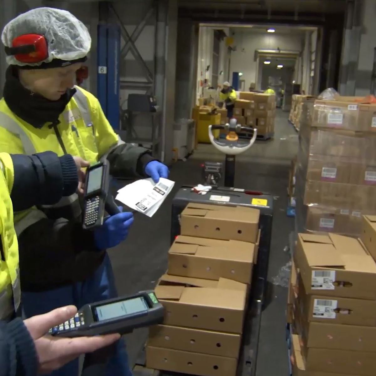 Marel Software at Hazeldenes | Marel