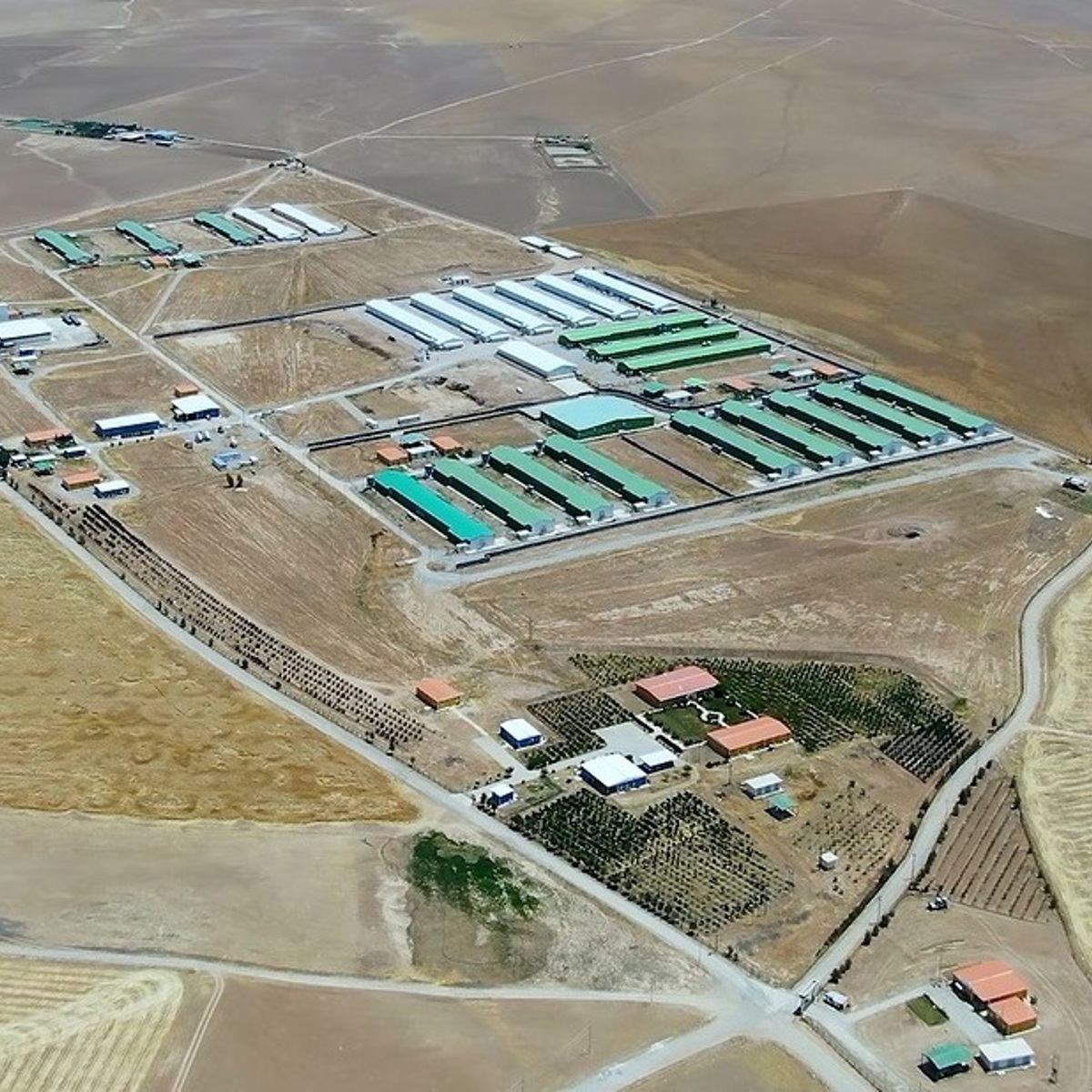 Al Rebass puts its trust in Marel | Marel