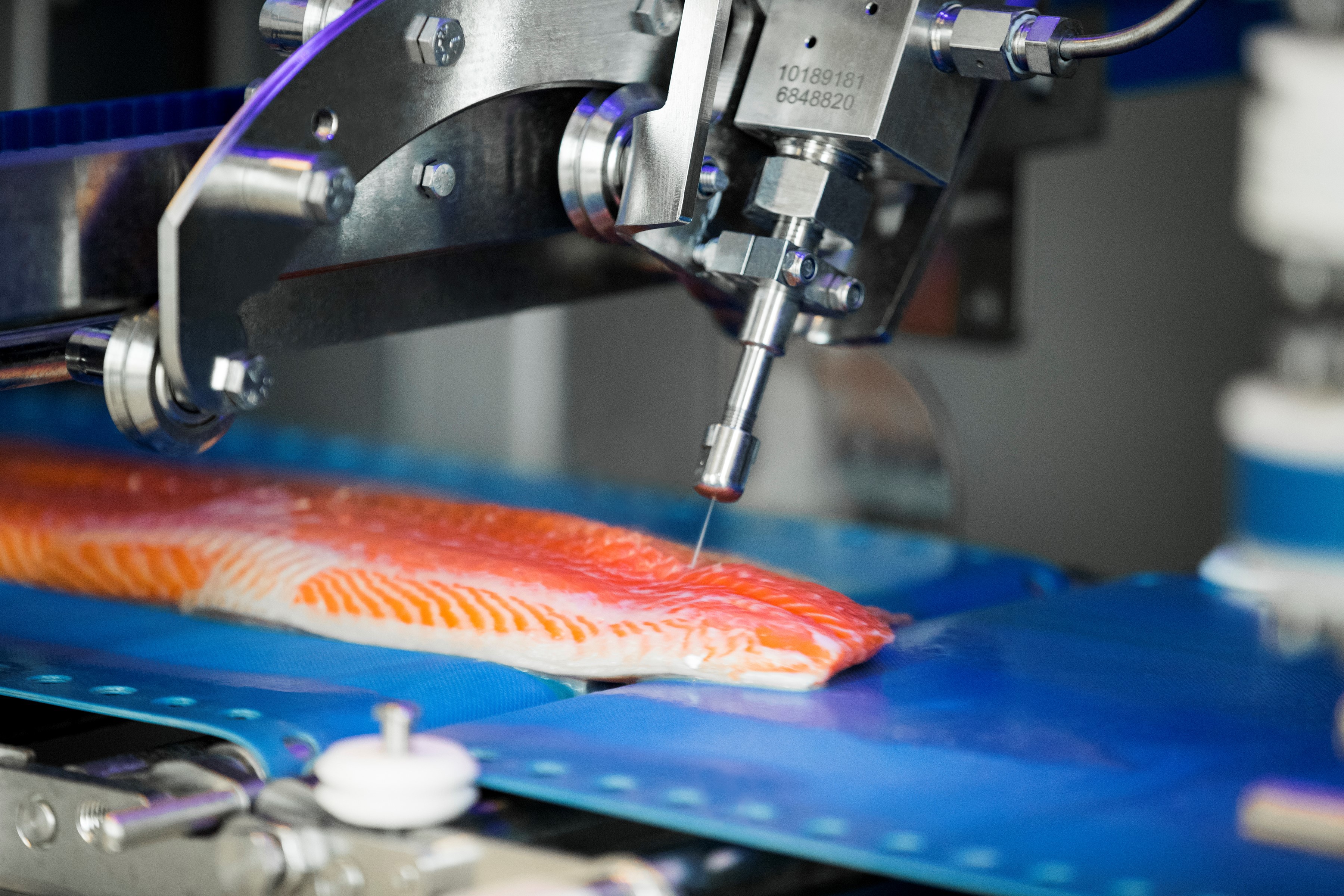 FleXicut Salmon | Marel