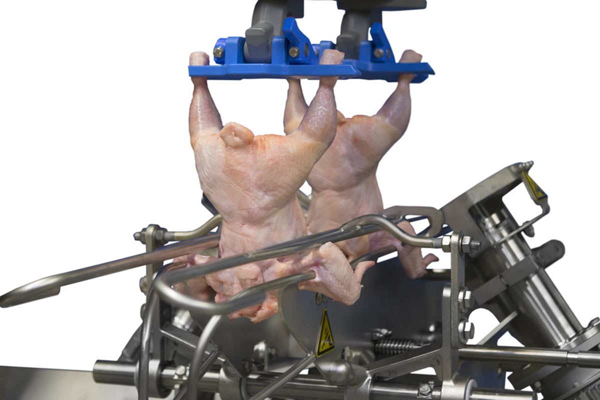 WingMaster - Cortadora de alas de segunda articulación ACM_NT | Marel