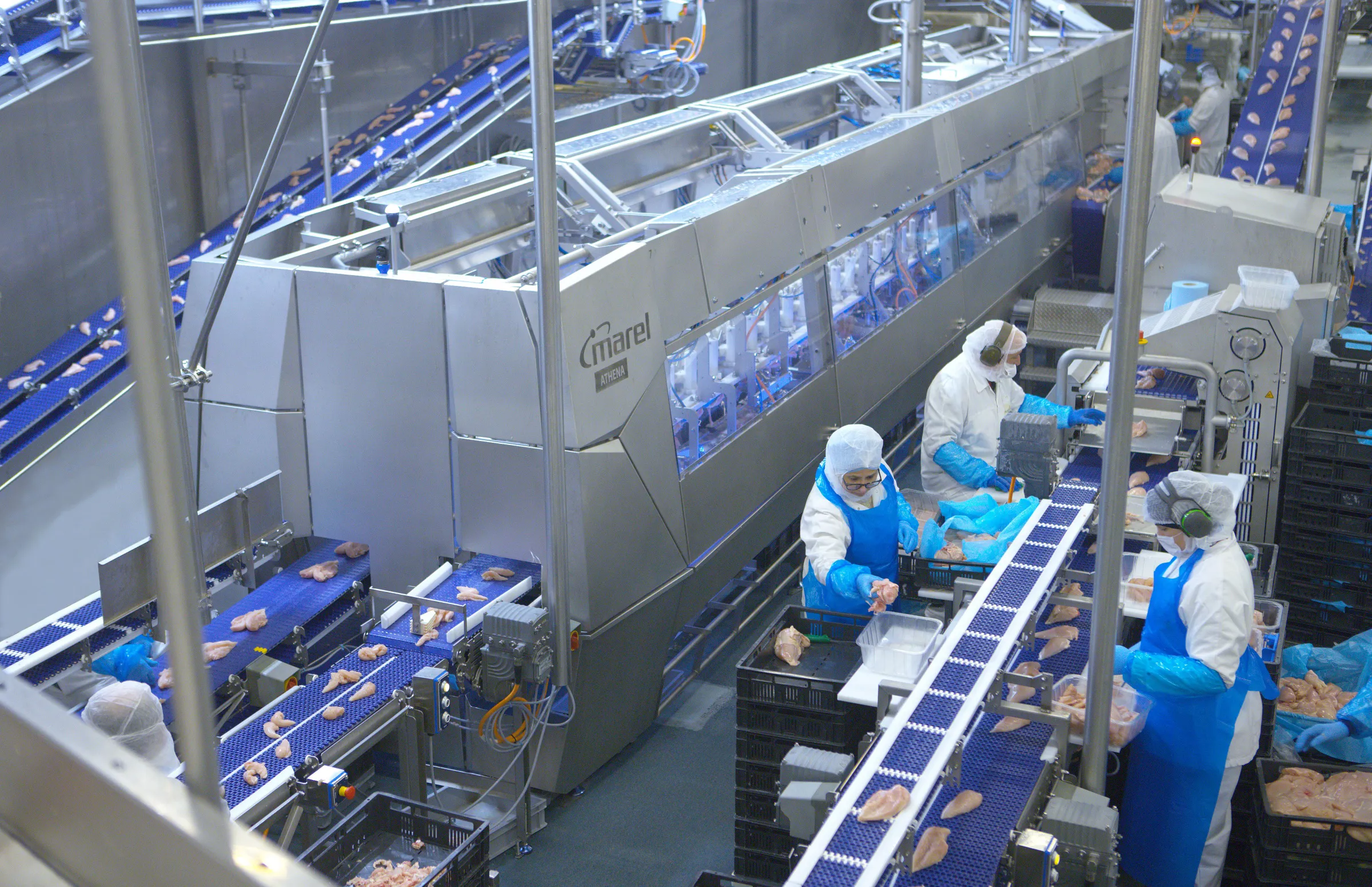 ATHENA - Mastering breast deboning | Marel