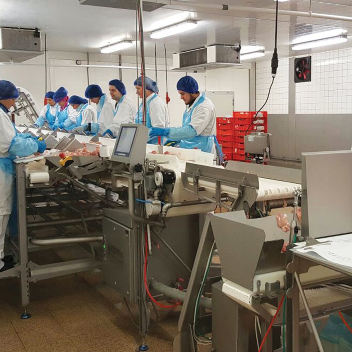 StreamLine para peru | Marel