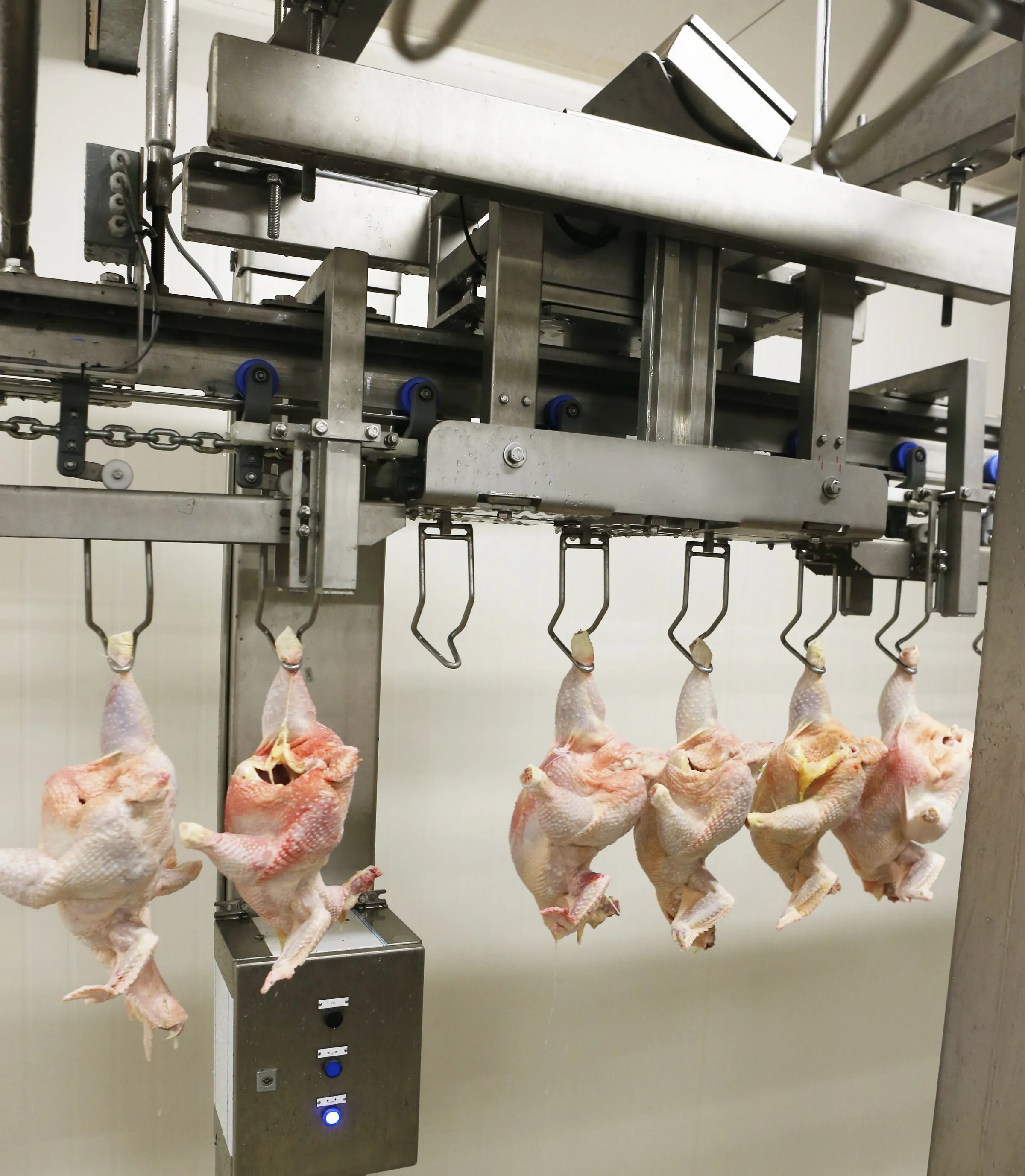 Weighing Station | Marel