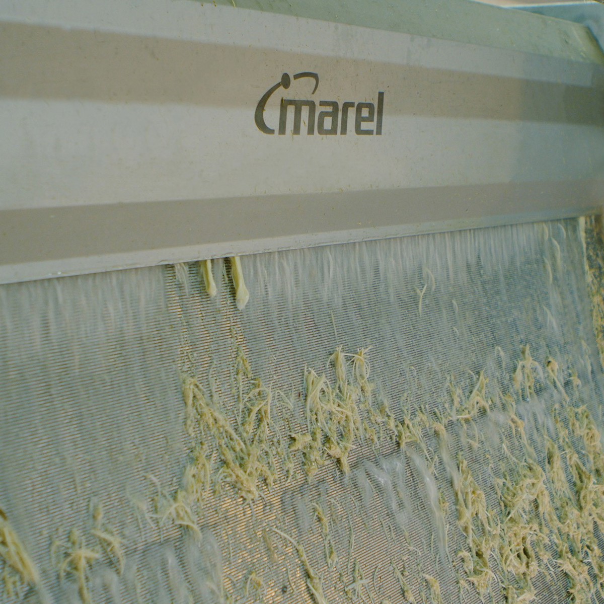 Static screens | Marel