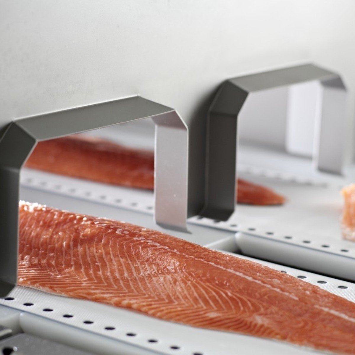 I-Cut 610 dual lane PortionCutter for salmon | Marel