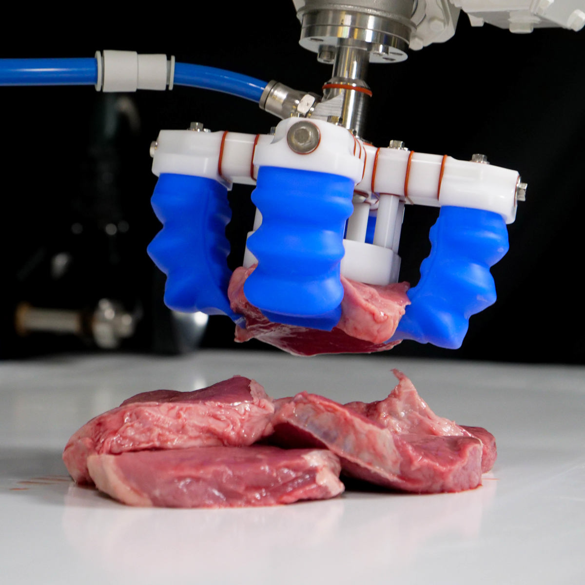 Pioneers in food processing joining hands | Marel