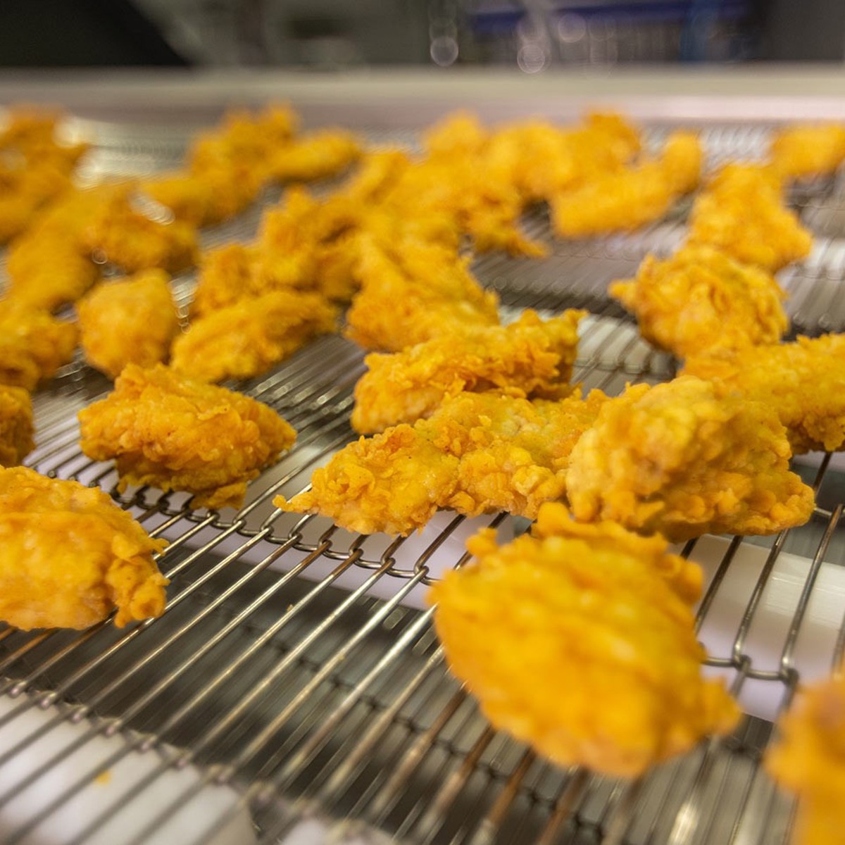 70 companies join Marel coating event | Marel