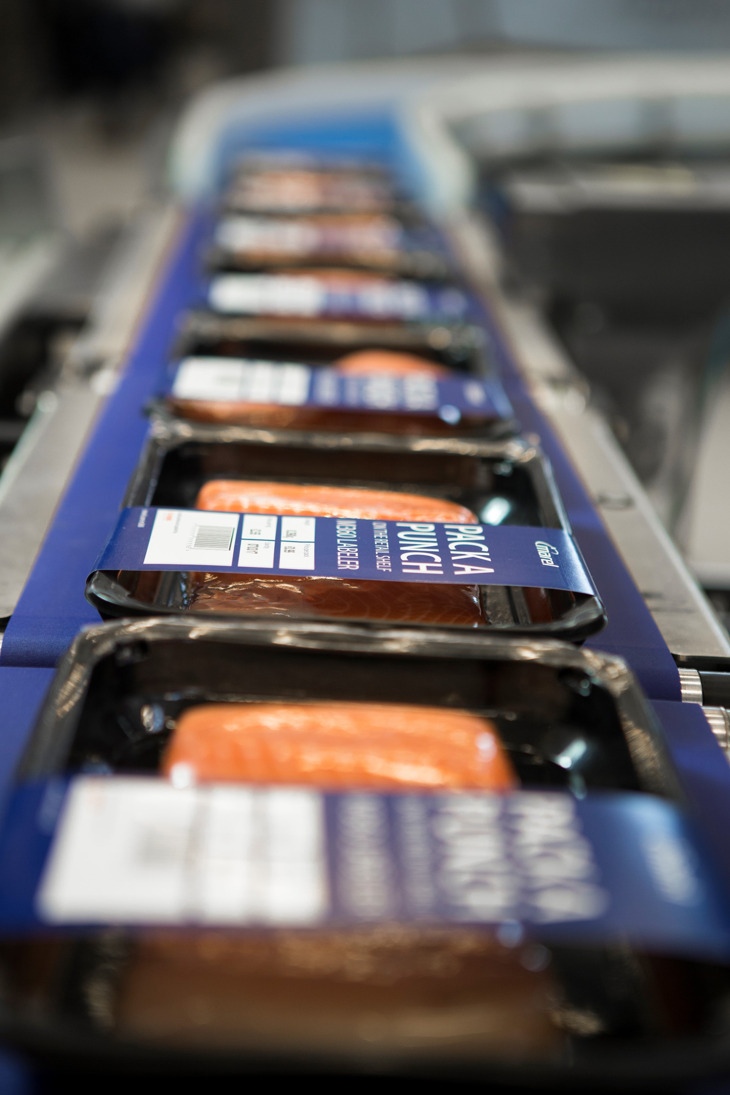 Labeling Solutions for the Salmon Industry | Marel