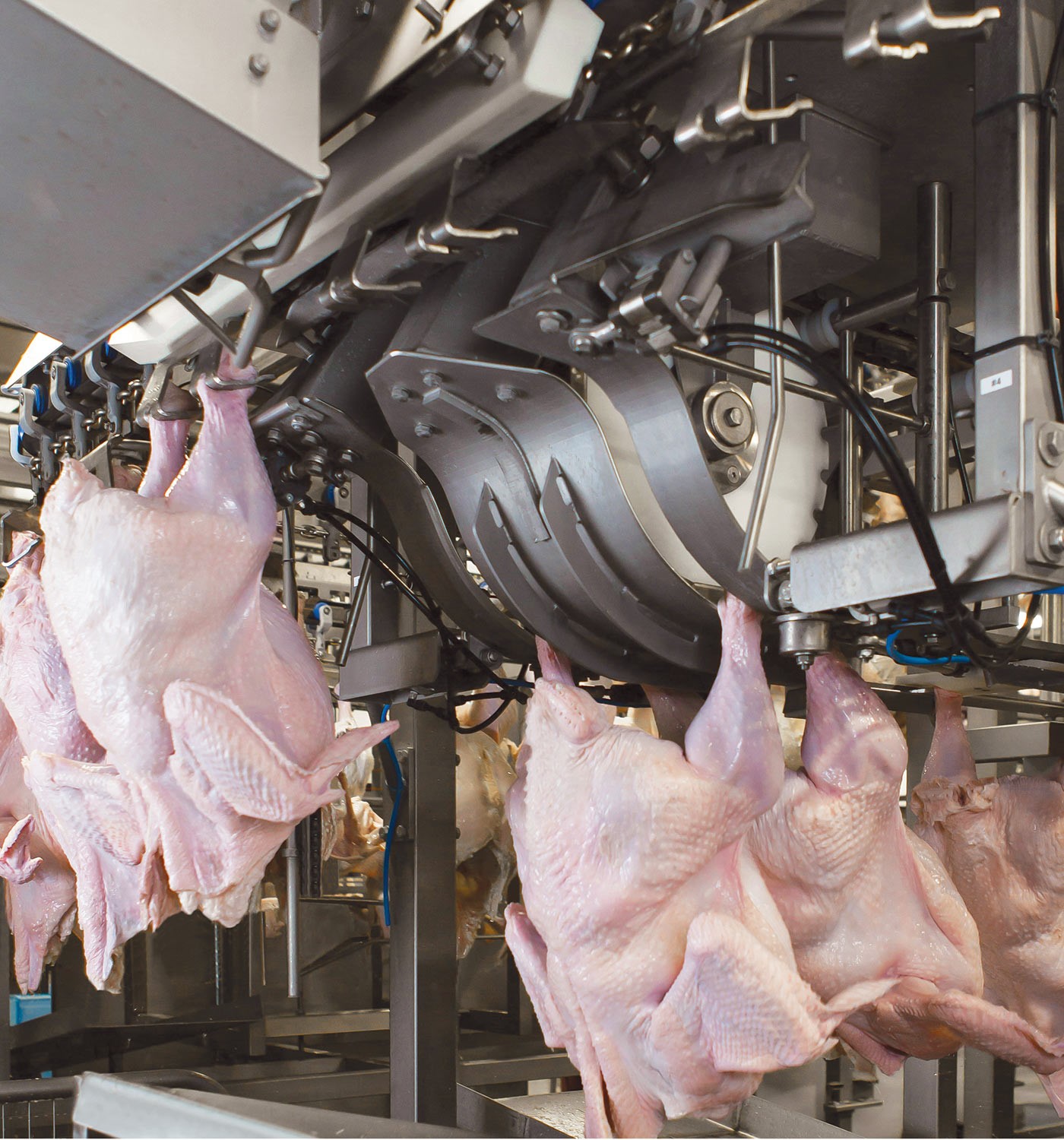 Visual quality grading | Marel