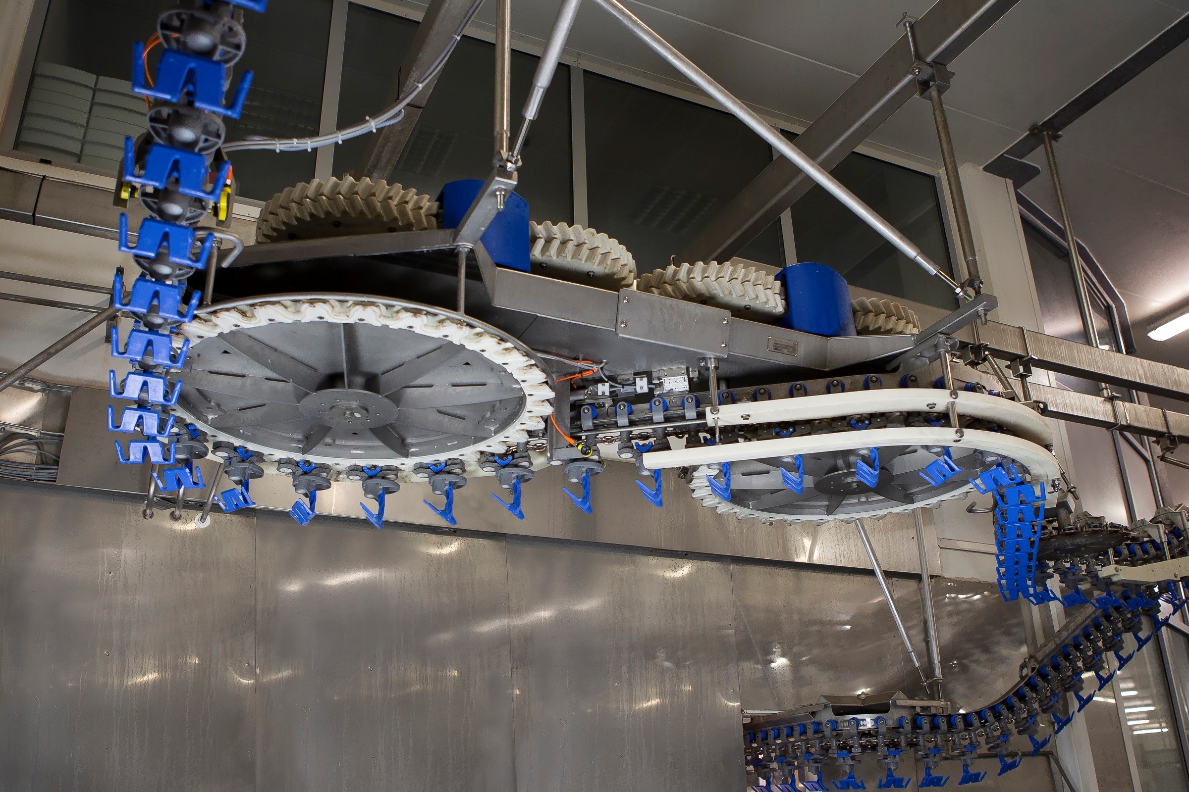 SmartWeigher for ducks | Marel