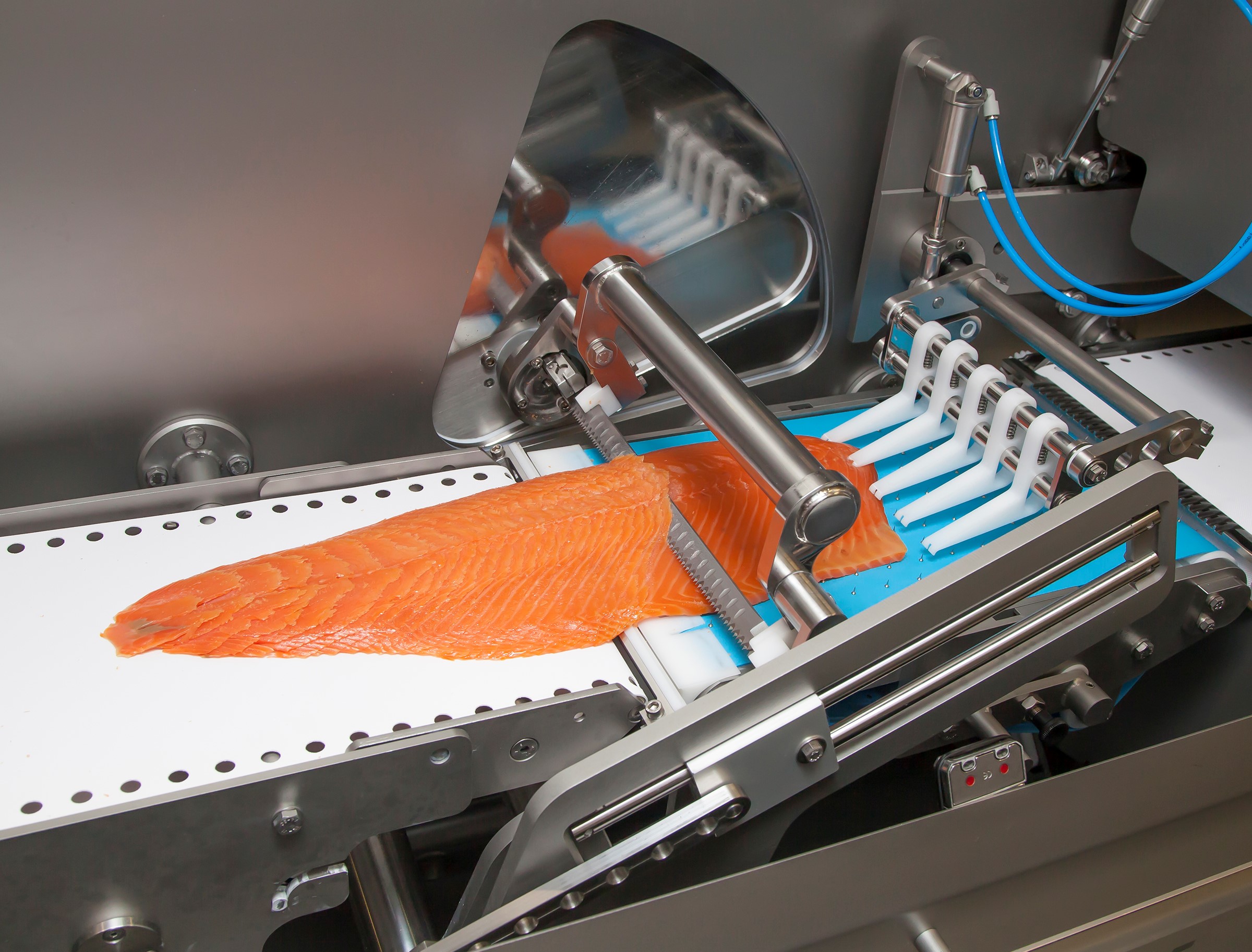 Marel | Food processing solutions