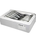 Marel | Food processing solutions