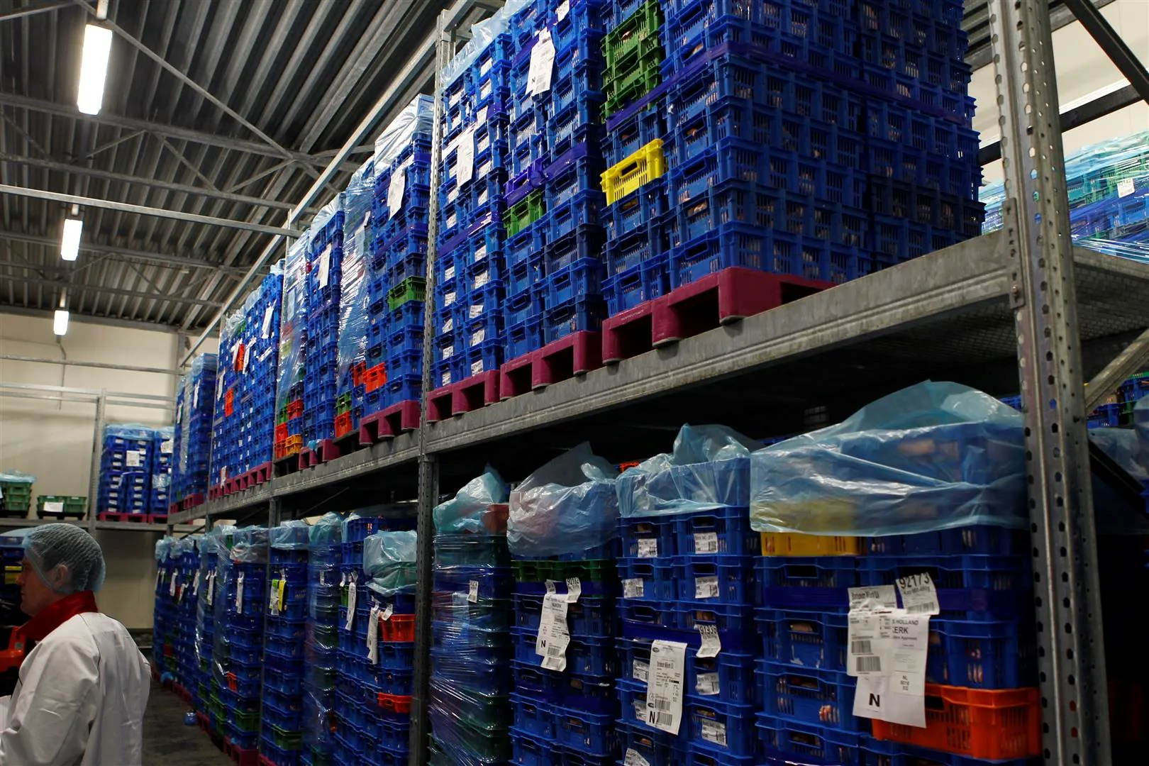 Packing Software - Advanced packing and labelling solution with full ...