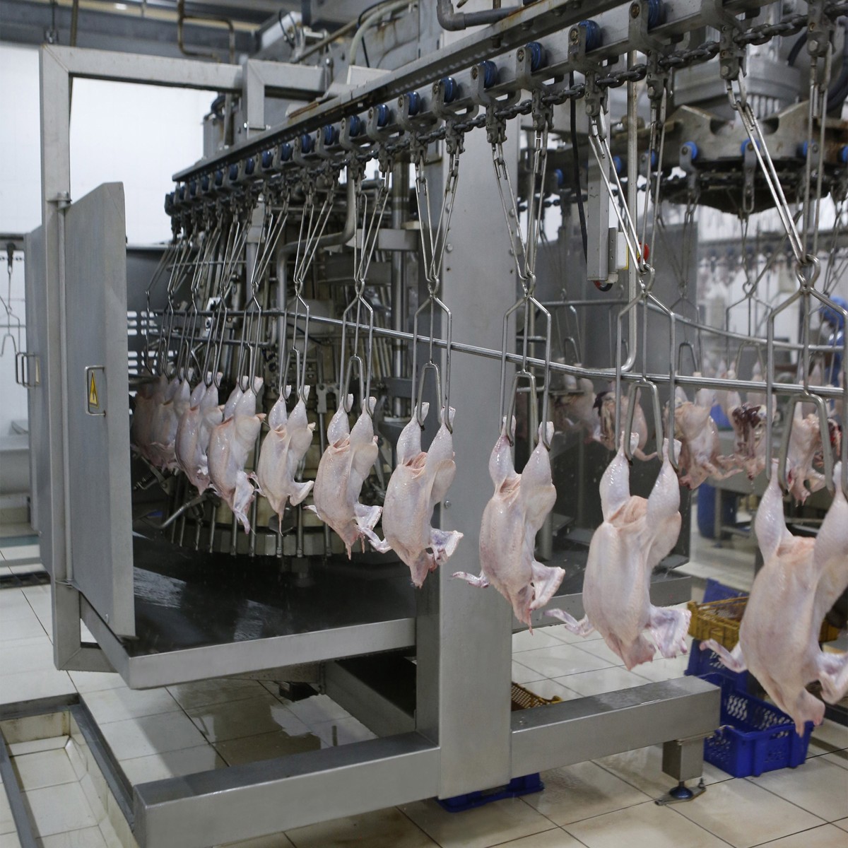 Moving from manual to automated processing | Marel