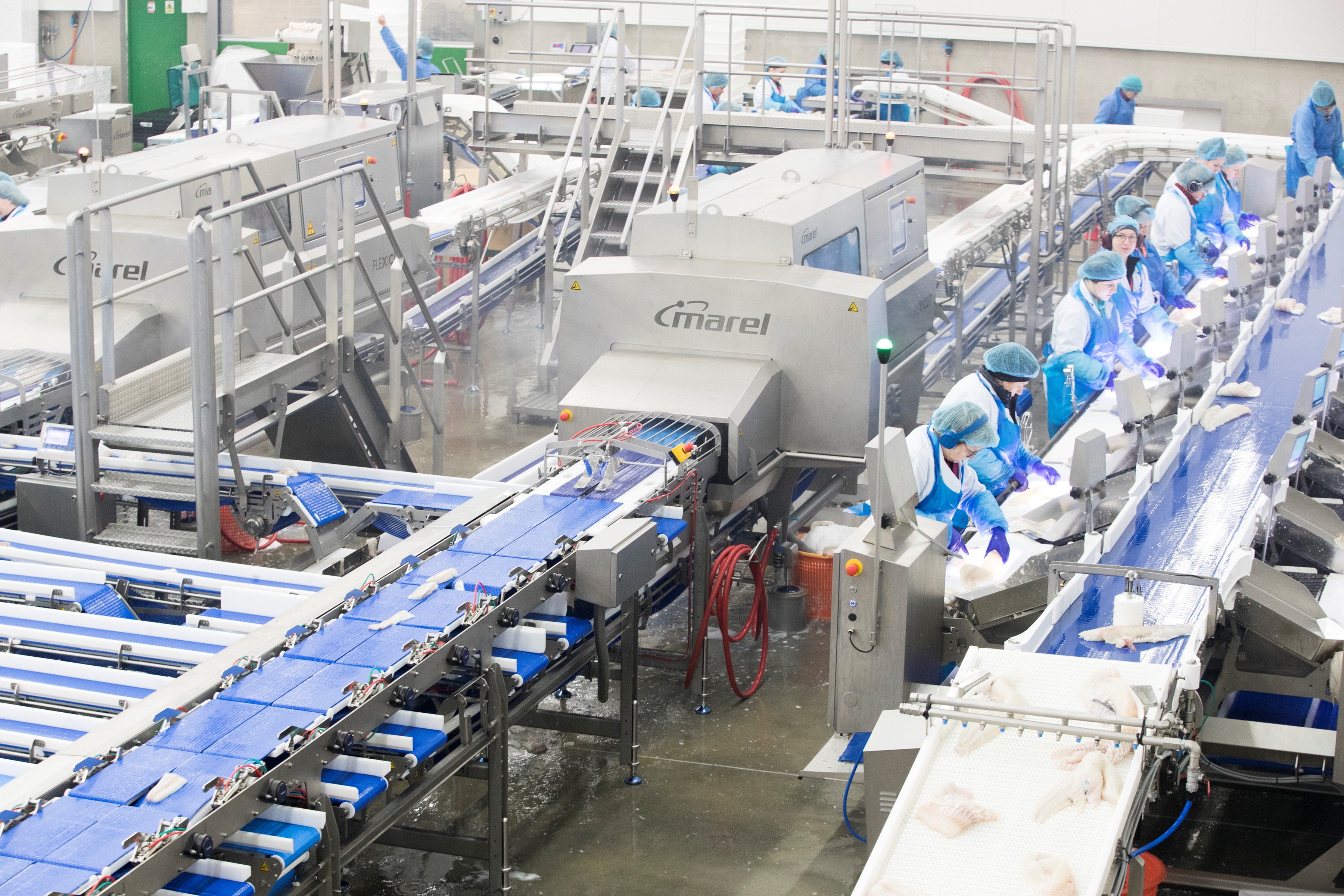 Vísir takes next step in automation | Marel