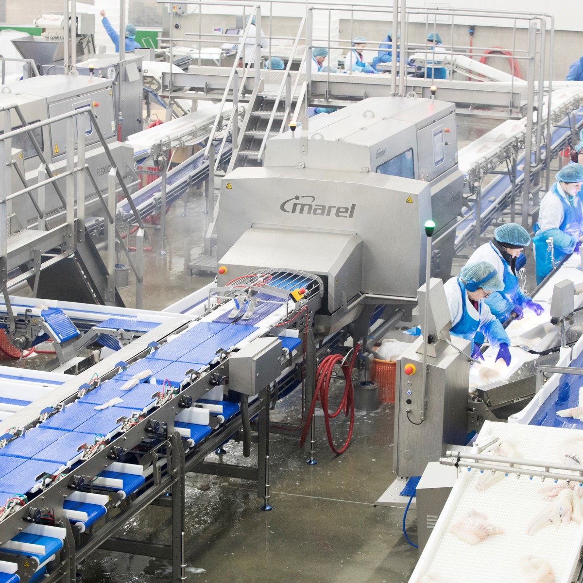 Vísir takes next step in automation | Marel