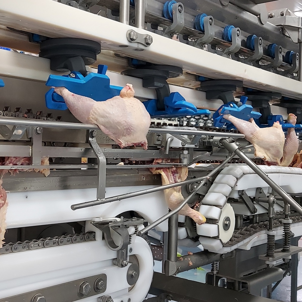 Anatomic leg cutting module type JL and JLR | Marel