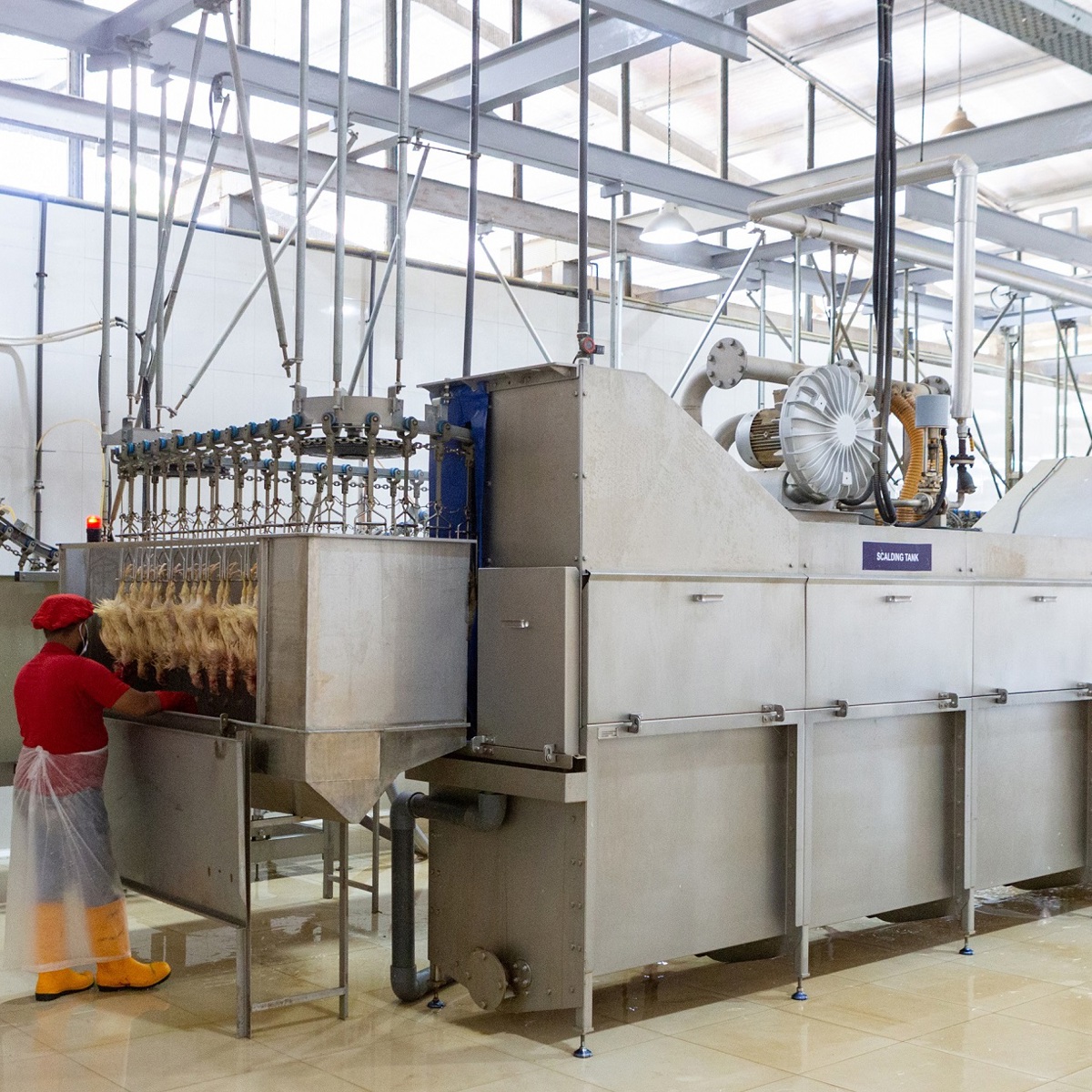How to process poultry with limited water and energy availability | Marel